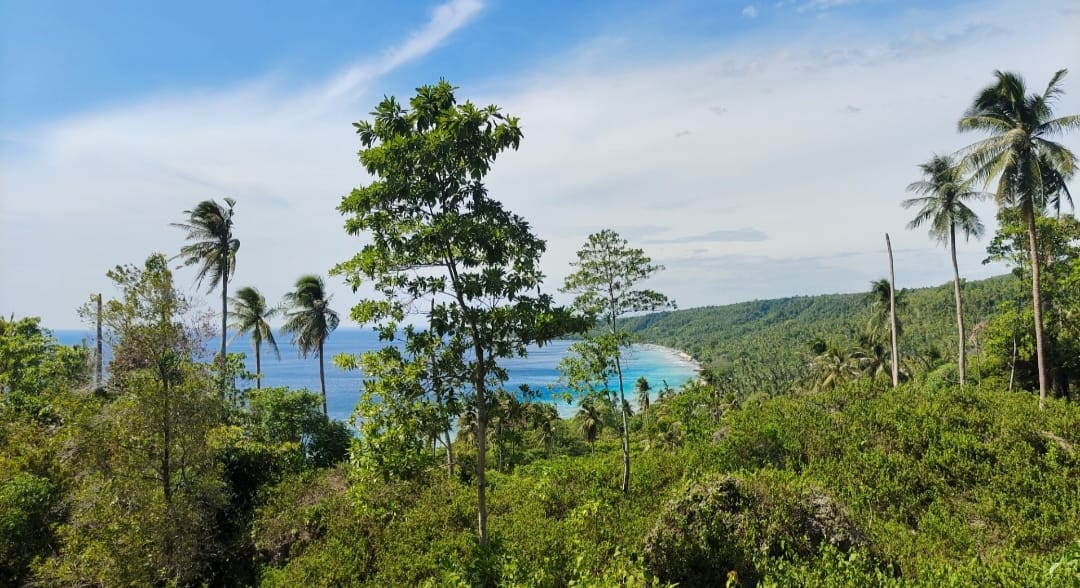 Dijual Tanah / Lahan 2.610 m2 Cocok utk Resort, Homestay, dll di Ujong ...